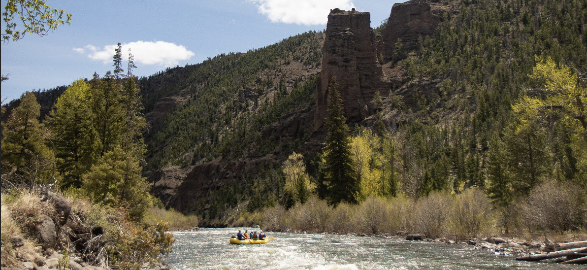 Full Day Raft or Kayak - North Fork | Wyoming River Trips